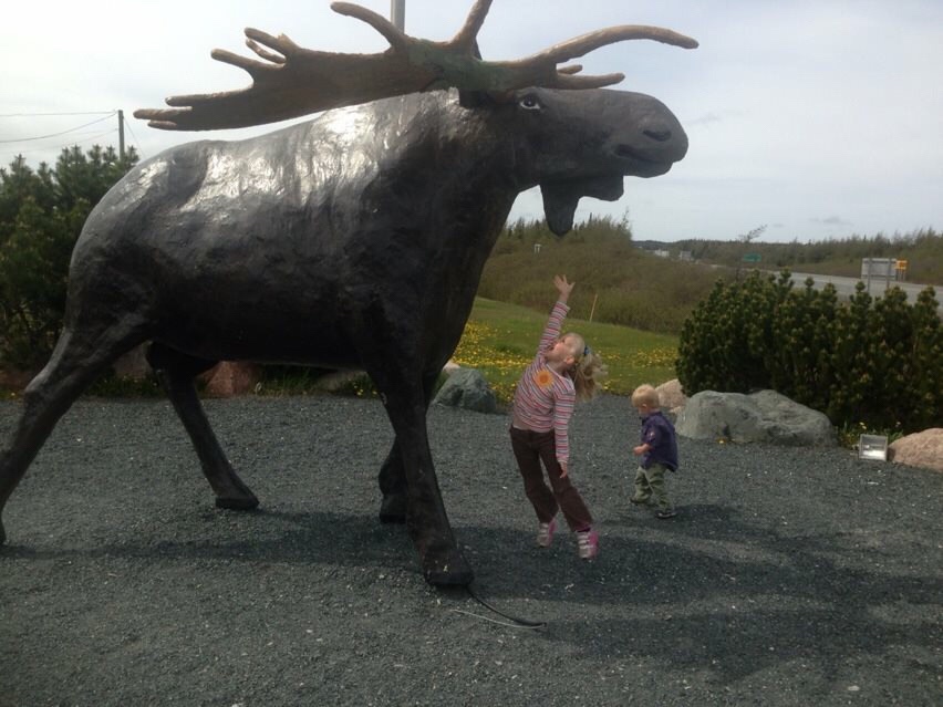 Goobies Moose – trendfamily